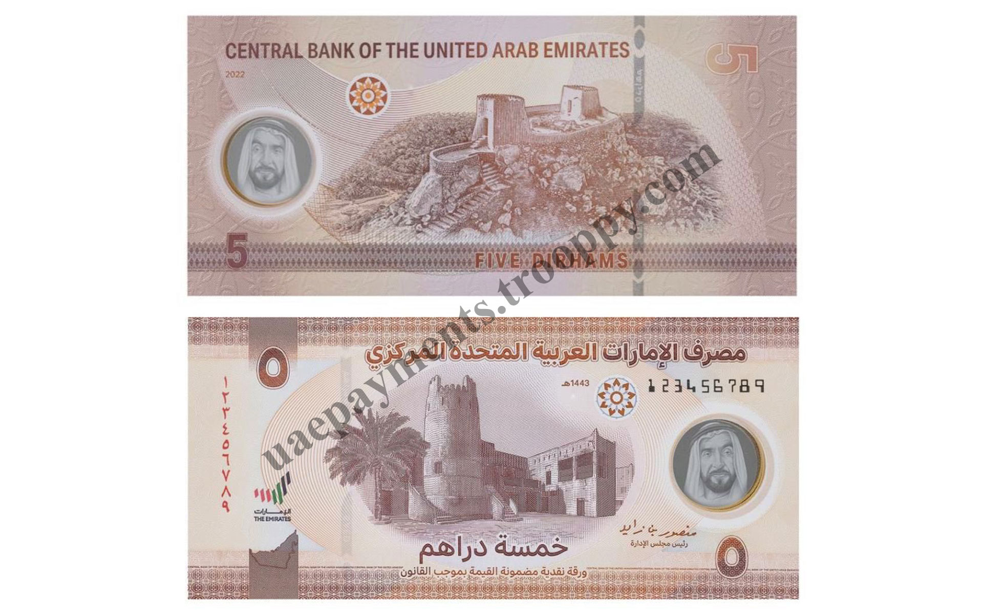 New Plastic 5 Dirham Note In UAE - Find Out More